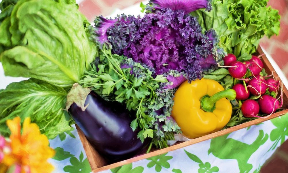 Turning vegan? Read before you leap!